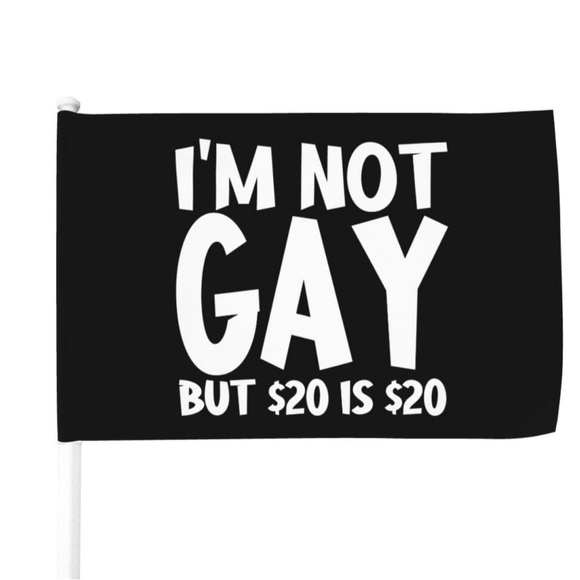 Wall Decor | New Im Not Gay Novelty Flag 3ft X 5ft | Poshmark